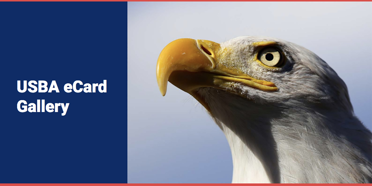 USBA eCard Patriotic Video Gallery